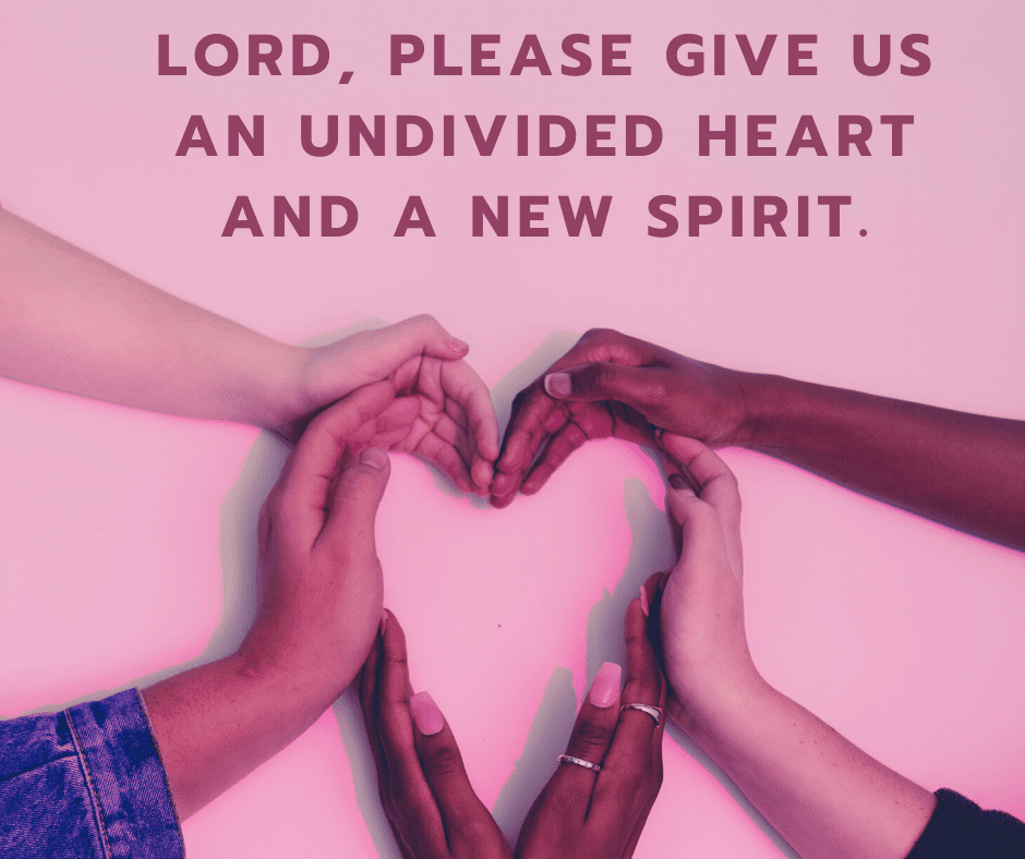 An Undivided Heart | Lisa Maples